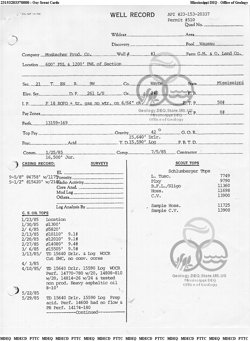 Well Folder - 2315320337