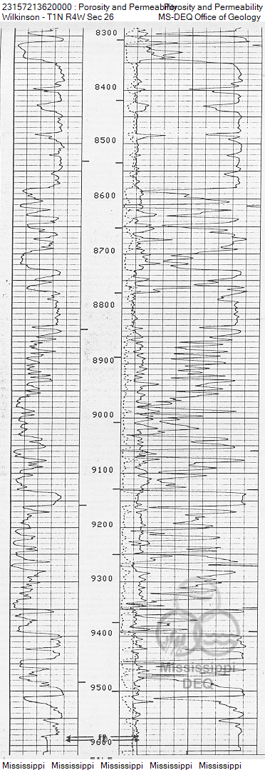 Well Folder - 2315721362